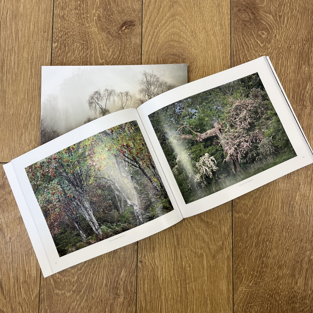 Joe Cornish | All the Wood’s a Stage | Joe Cornish Book